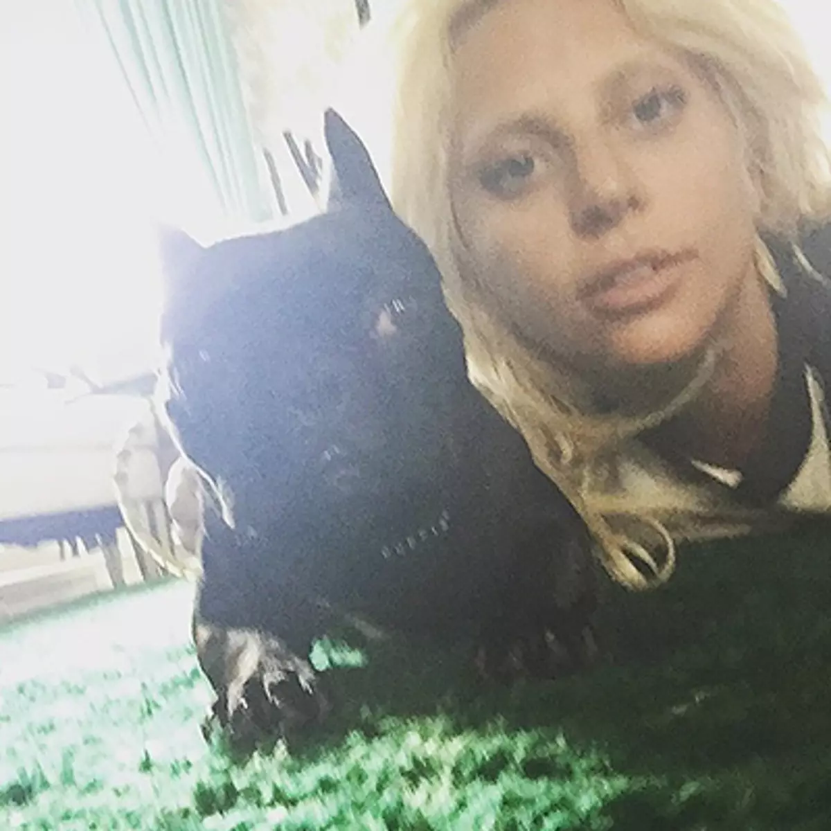 Lady Gaga amb mascota casolana