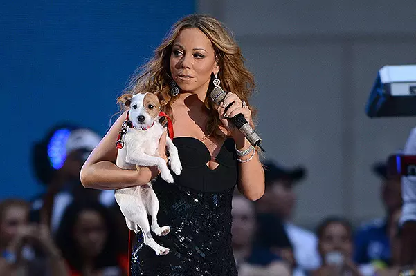 Mariah Carey dan Nick Cannon akan membahagikan anjing melalui mahkamah