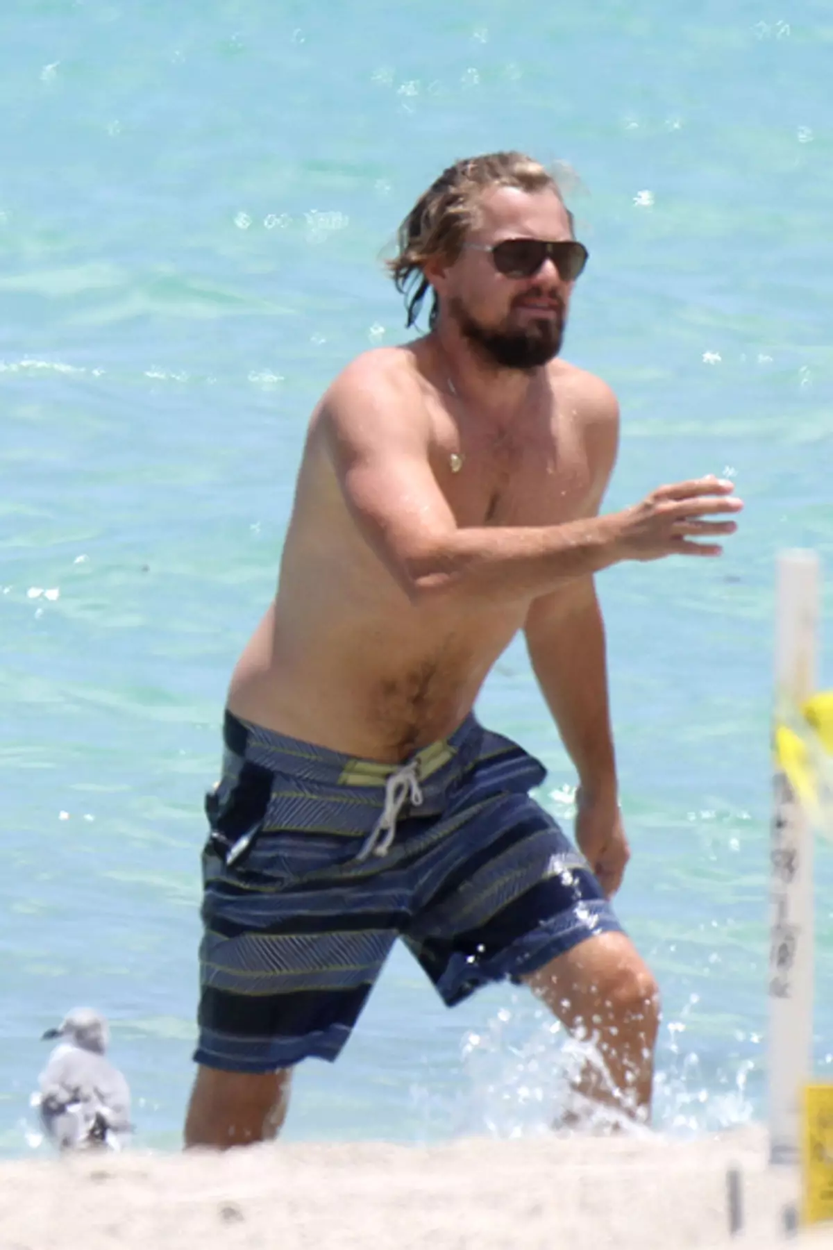 Leonardo DicaPrio