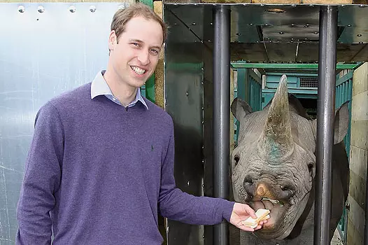 Prince William Rose ເພື່ອປົກປ້ອງ rhinos