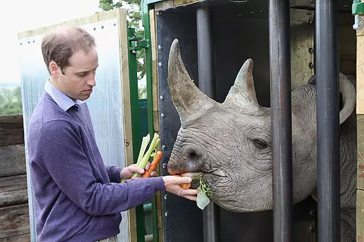 Prince William Rose ເພື່ອປົກປ້ອງ rhinos 318254_3