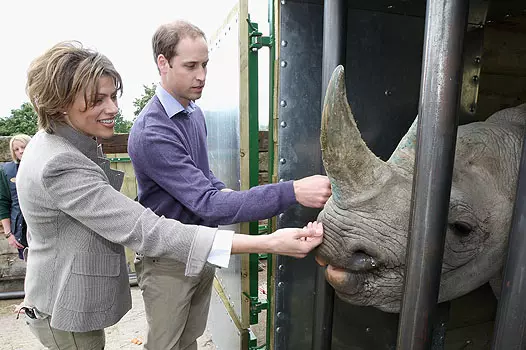 Le prince William s'est levé pour protéger les rhinocéros 318254_4