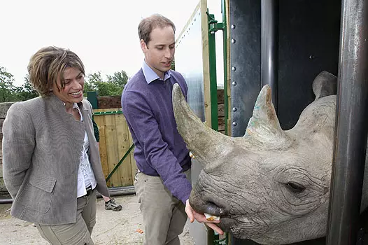 Prince William Rose ເພື່ອປົກປ້ອງ rhinos 318254_5