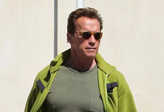 هویت مادر مادر صندوق مالی Schwarzenegger آشکار شده است