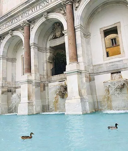 Canards à Rome