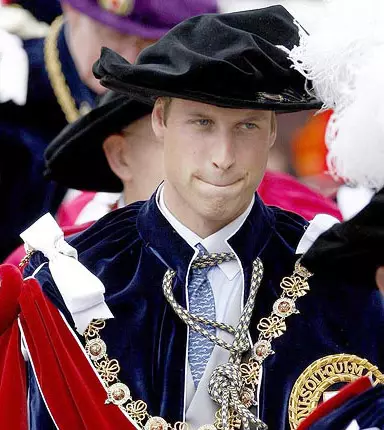 Prince William became a knight 351375_10