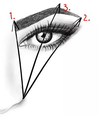 scheme how to pluck eyebrows