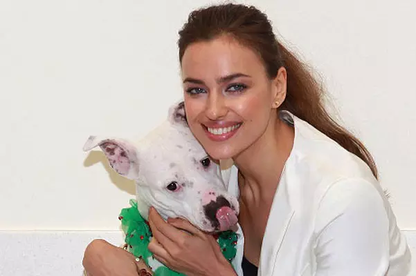 Irina Shayk leder efter et hus til firebenede venner