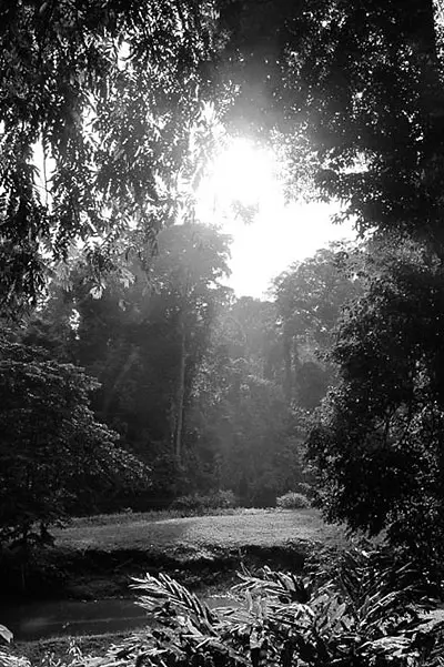 Fotoj de Borneo Pejzaĝoj, kiuj faris la Dukino Cambridge Cather