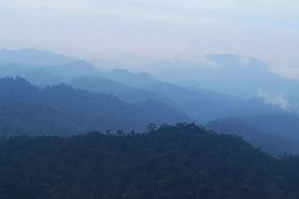 Fotot e peizazheve Borneo, të cilët e bënë Duchess Cambridge Cather