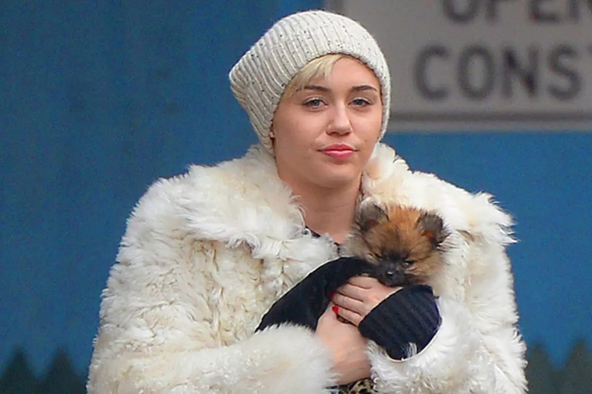 Novi pas nije utješio Miley Cyrus nakon smrti Floyda