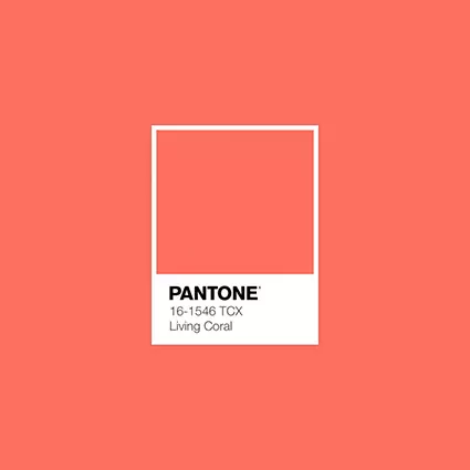 Pantone.